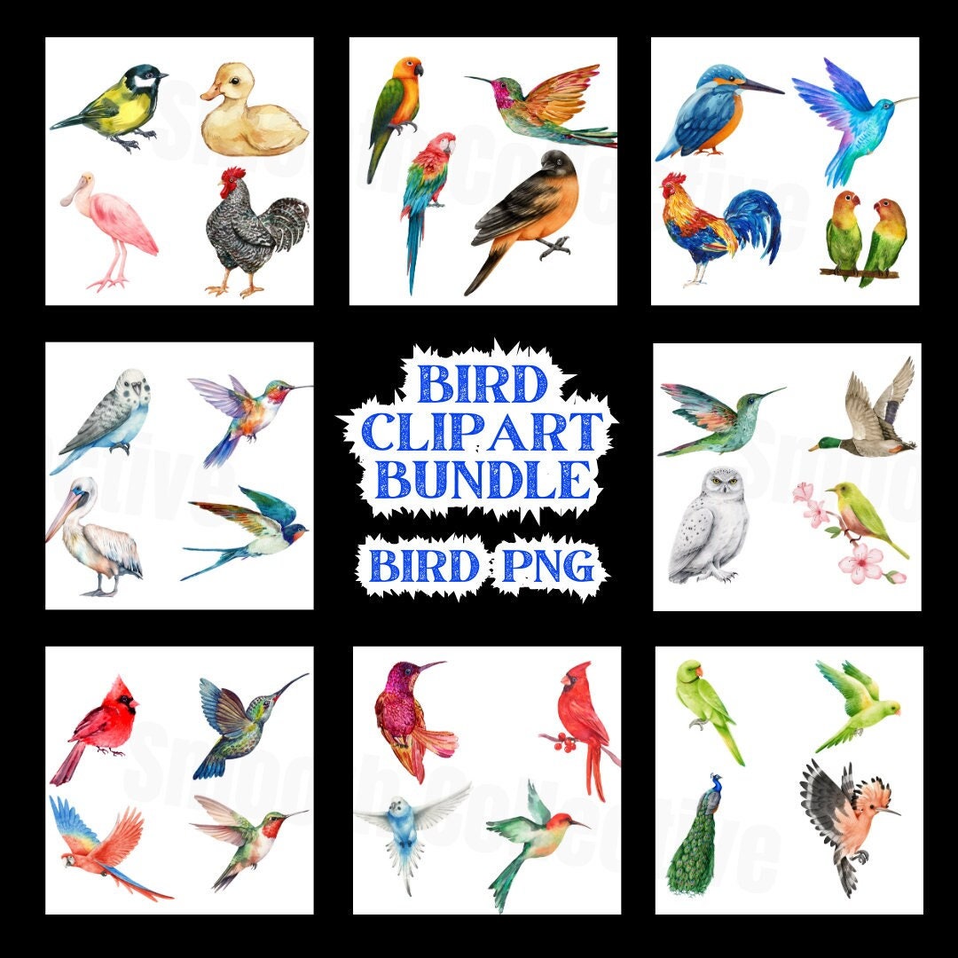 Bird Clipart Bundle, Bird PNG, Hummingbird Png, Bird Vector ...