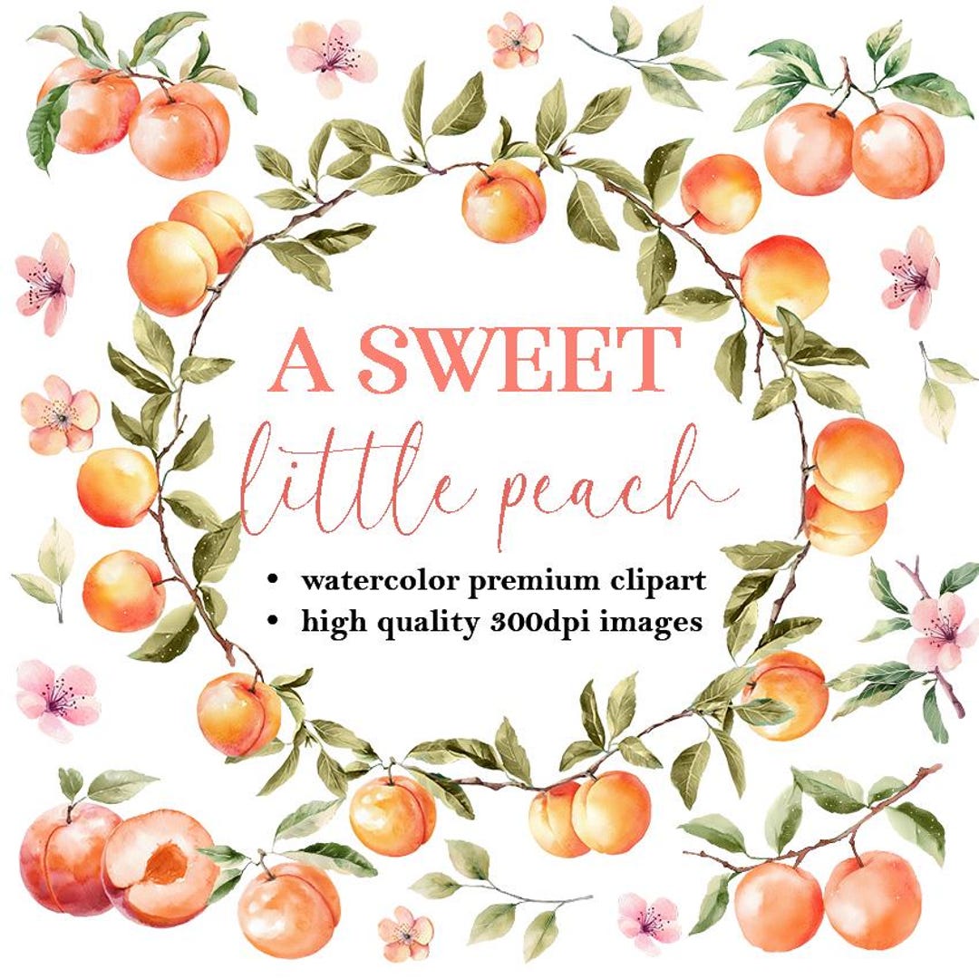 Sweet Peach Clipart PNG, Watercolor Peaches, Nursery Clipart, PNG ...