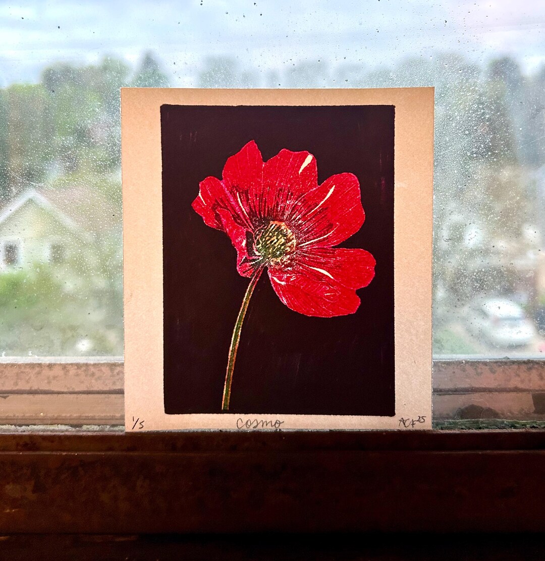 Cosmo 6 Color Reduction Print - Etsy