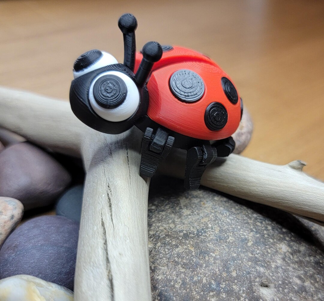 3D Printed Articulated Ladybug Fidget Toy - Etsy