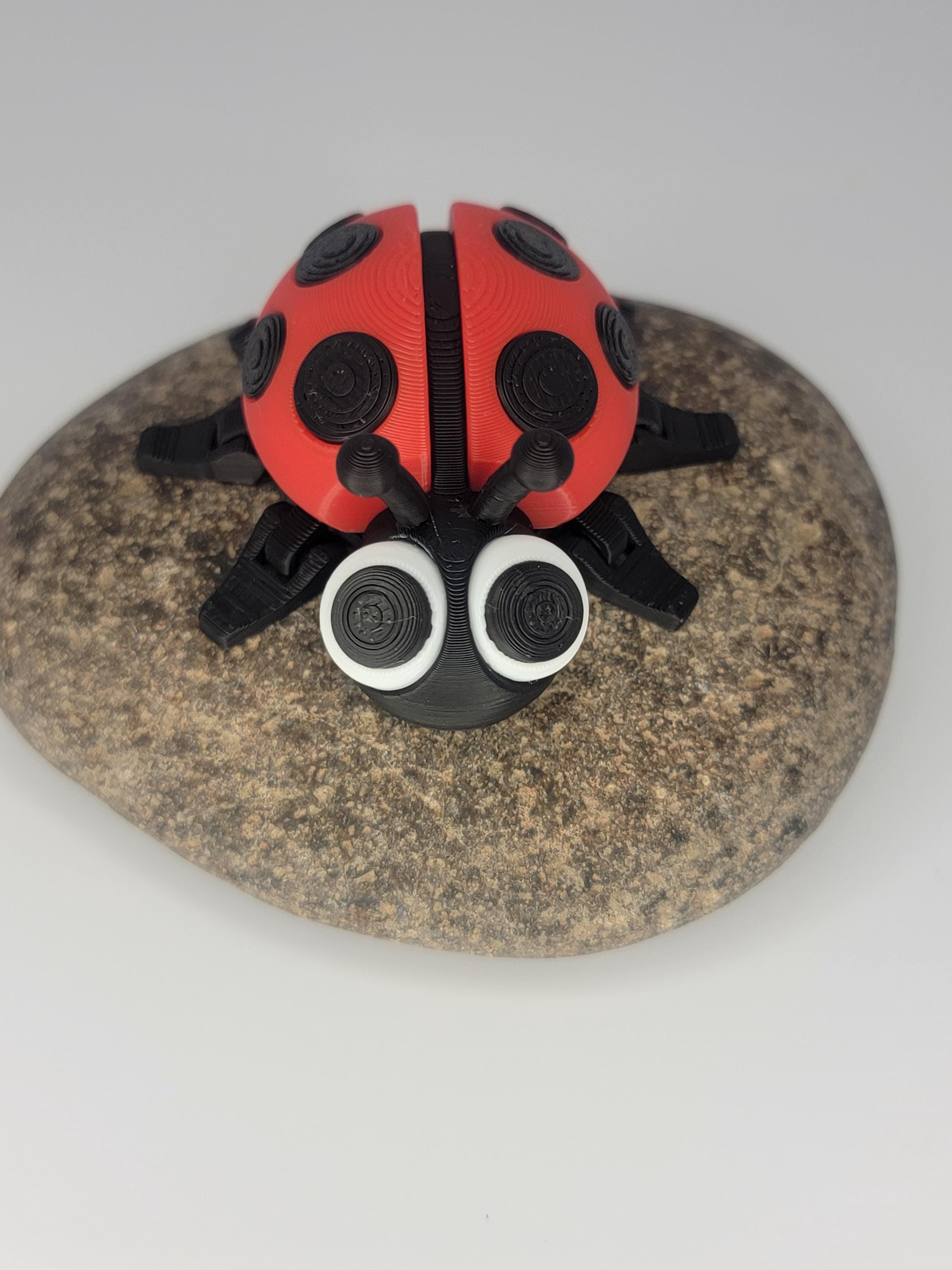 3D Printed Articulated Ladybug Fidget Toy - Etsy