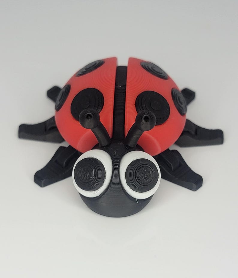 3D Printed Articulated Ladybug Fidget Toy - Etsy