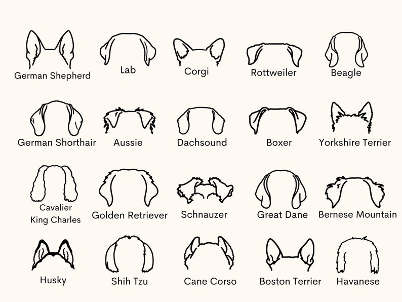 Custom Lab Gift Custom Black Lab Gift Custom Dog Crewneck - Etsy