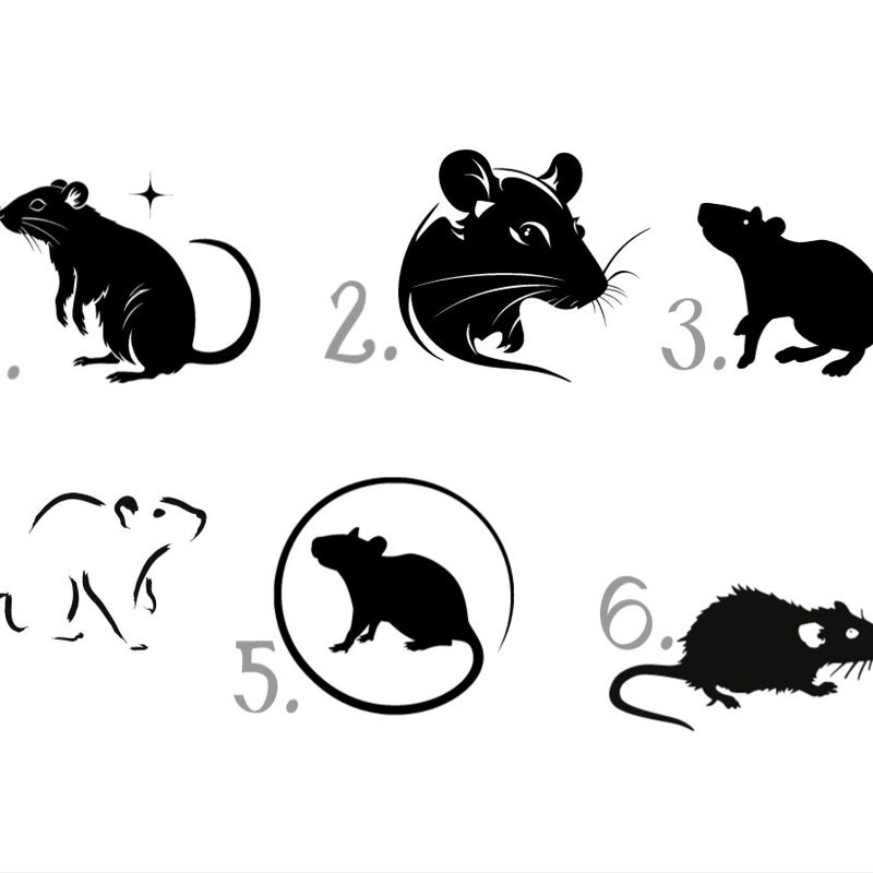 Rat Stickers - Etsy
