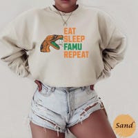 Florida A&M University Hoodie- Glitter/non-glitter Sweatshirt Hoodie ...