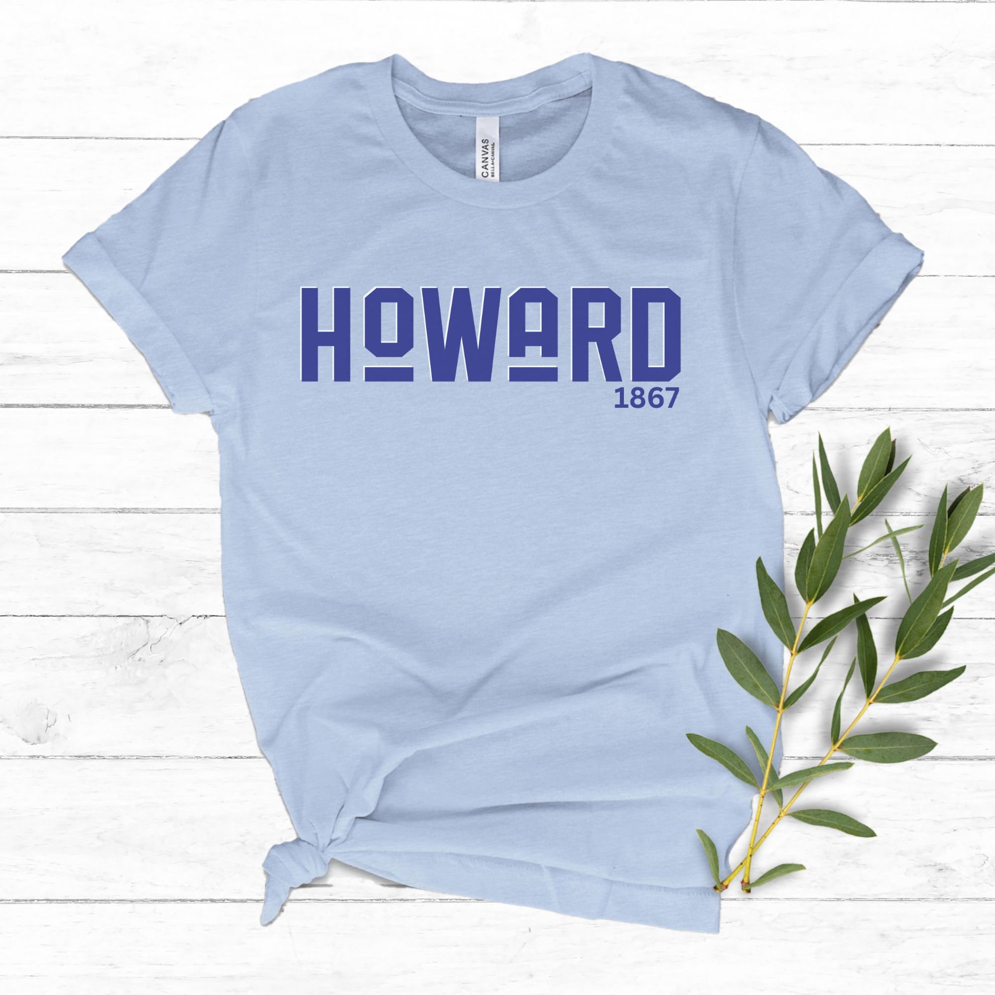 Howard 1867 Shirt, Howard University Apparel, Howard Bison T-shirt ...