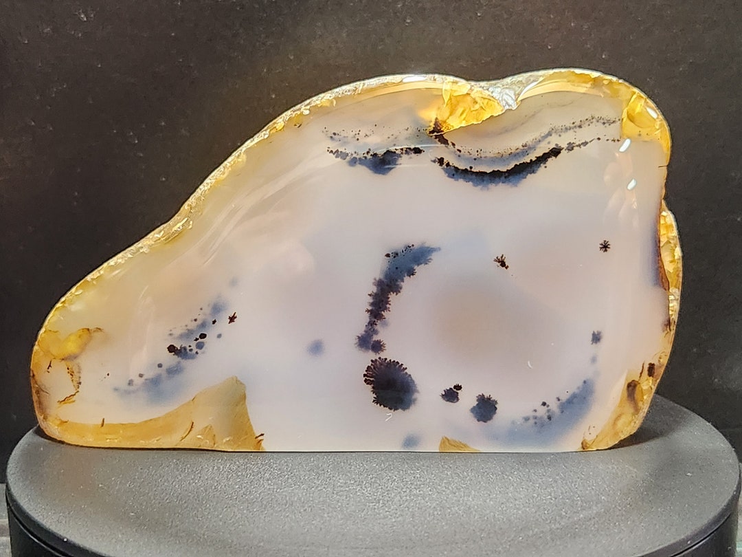 Polished Montana Moss Agate Specimen - Etsy