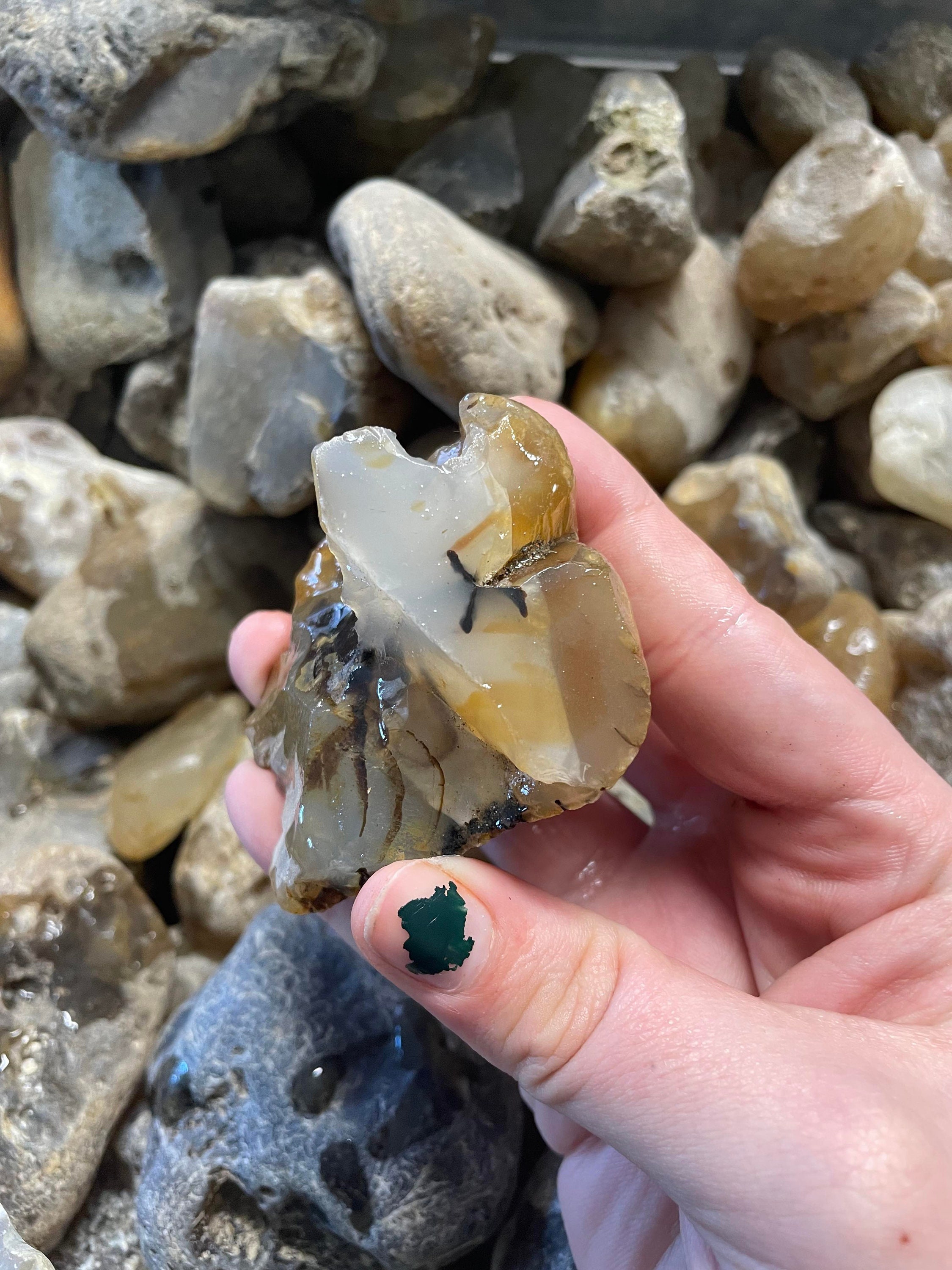 Montana Agates for Tumbling Medium/large. 2 to 6 Inches. 10 Pounds. - Etsy