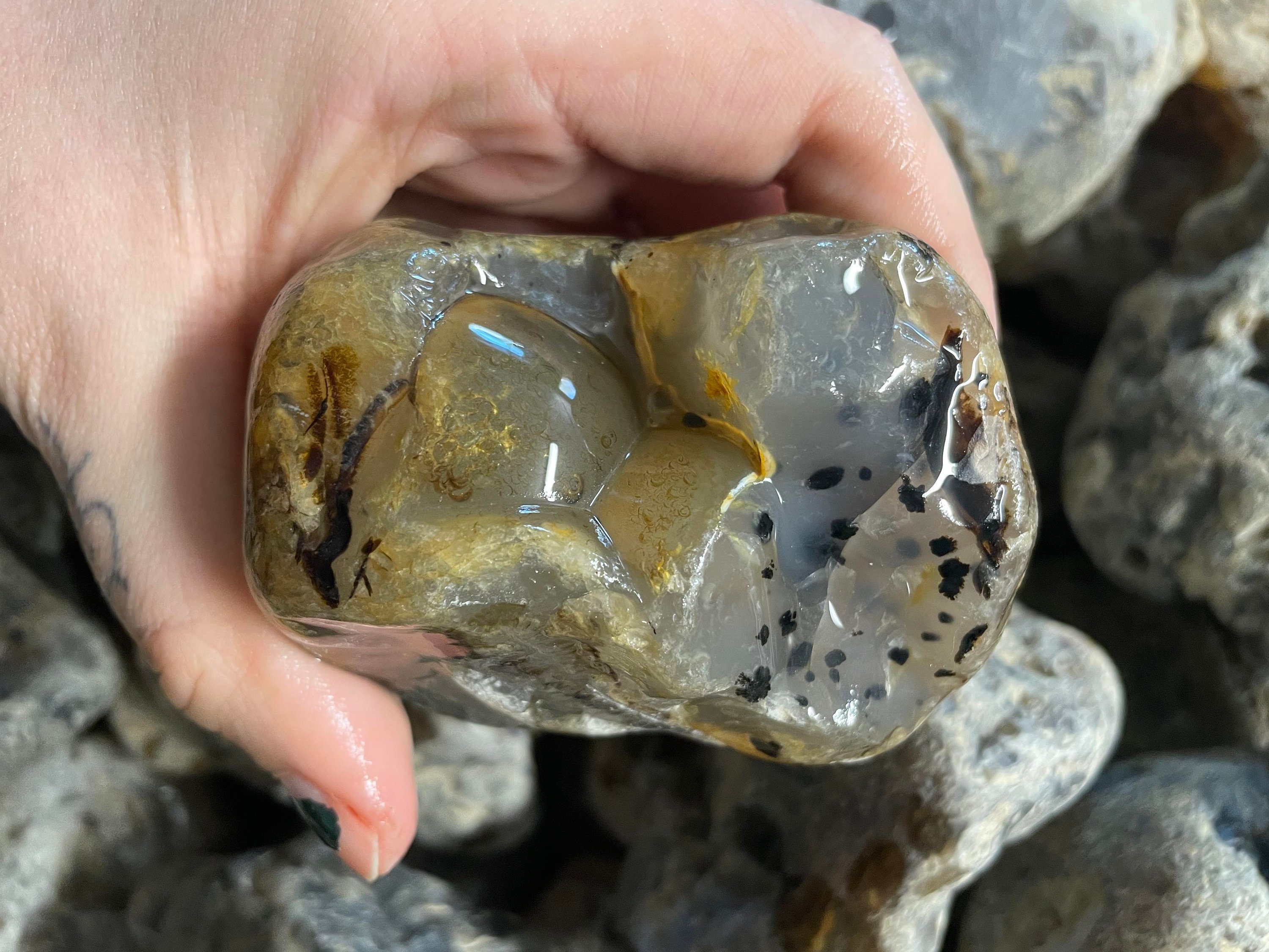 Mid Grade Montana Agate - Etsy