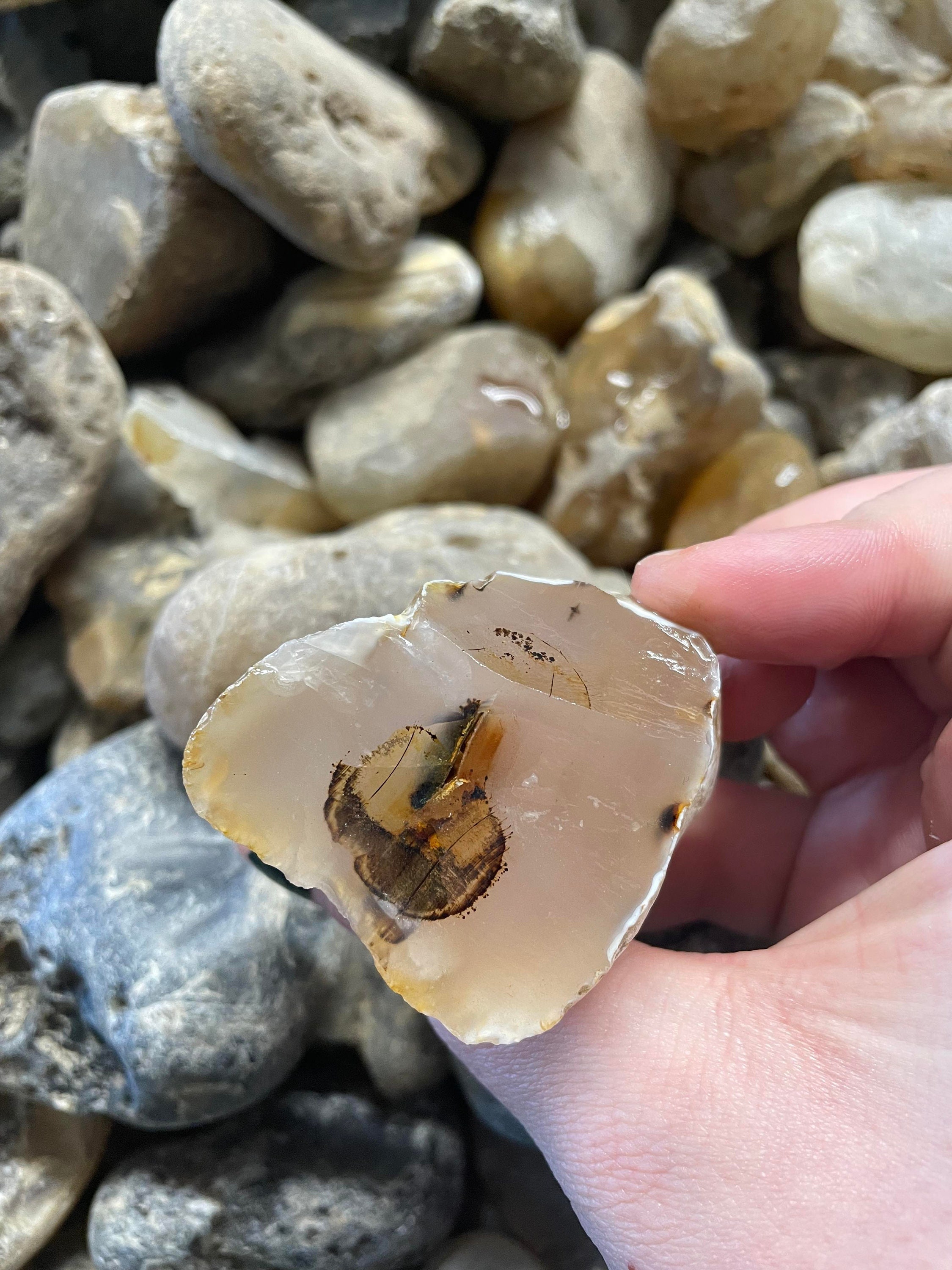 Montana Agates for Tumbling Medium/large. 2 to 6 Inches. 10 Pounds. - Etsy