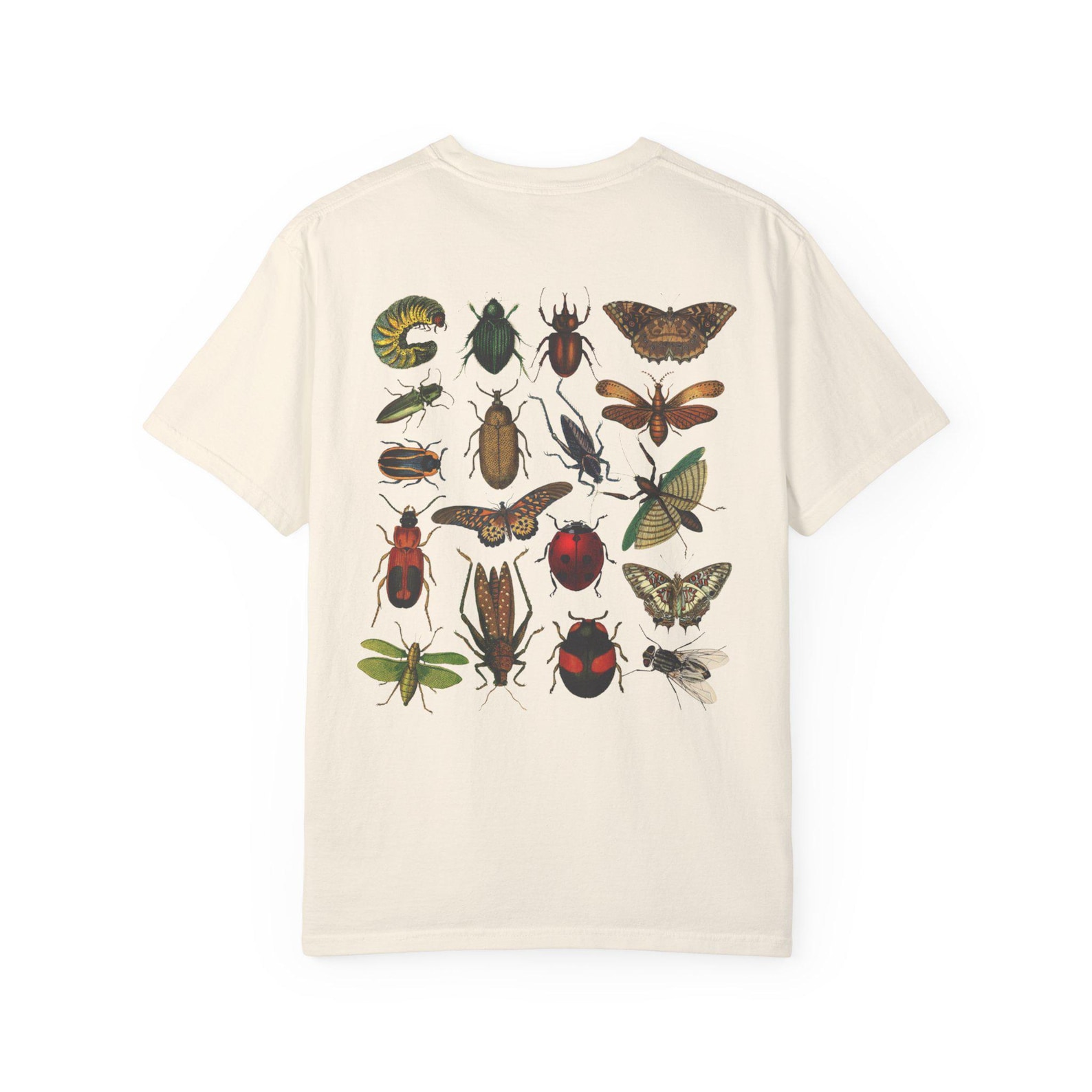 Entomology Shirt, Beetle Moth Butterfly Insect Graphic Tee Granola Girl ...