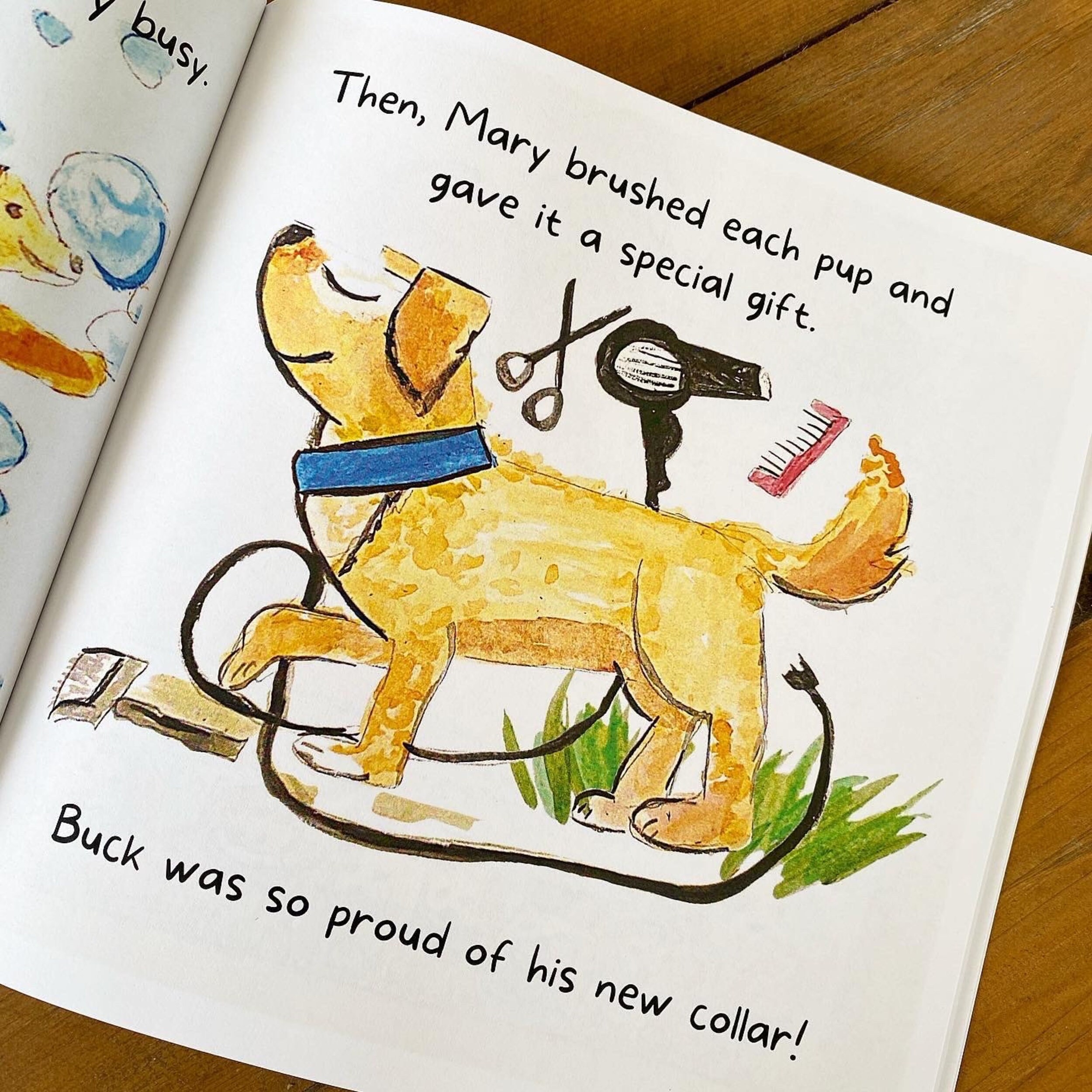 Doodletales autographed Copy Buck's New Family, Children's Book ...