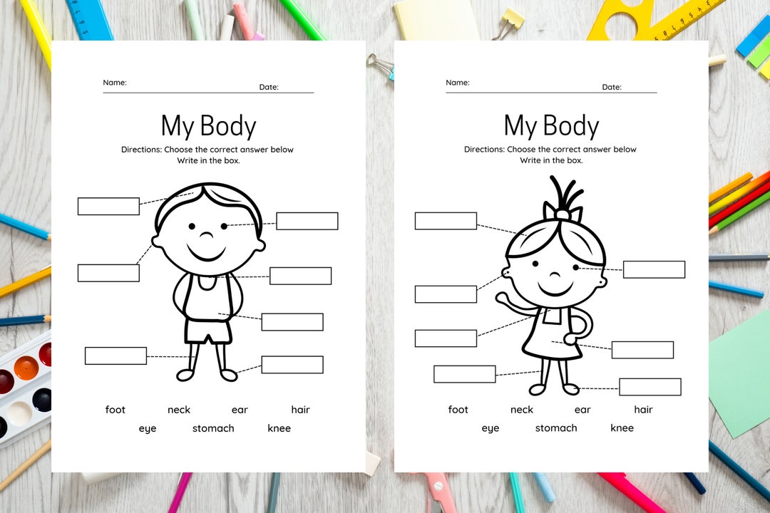 All About My Body Boy and Girl Printable, Worksheets, PDF, JPG ...