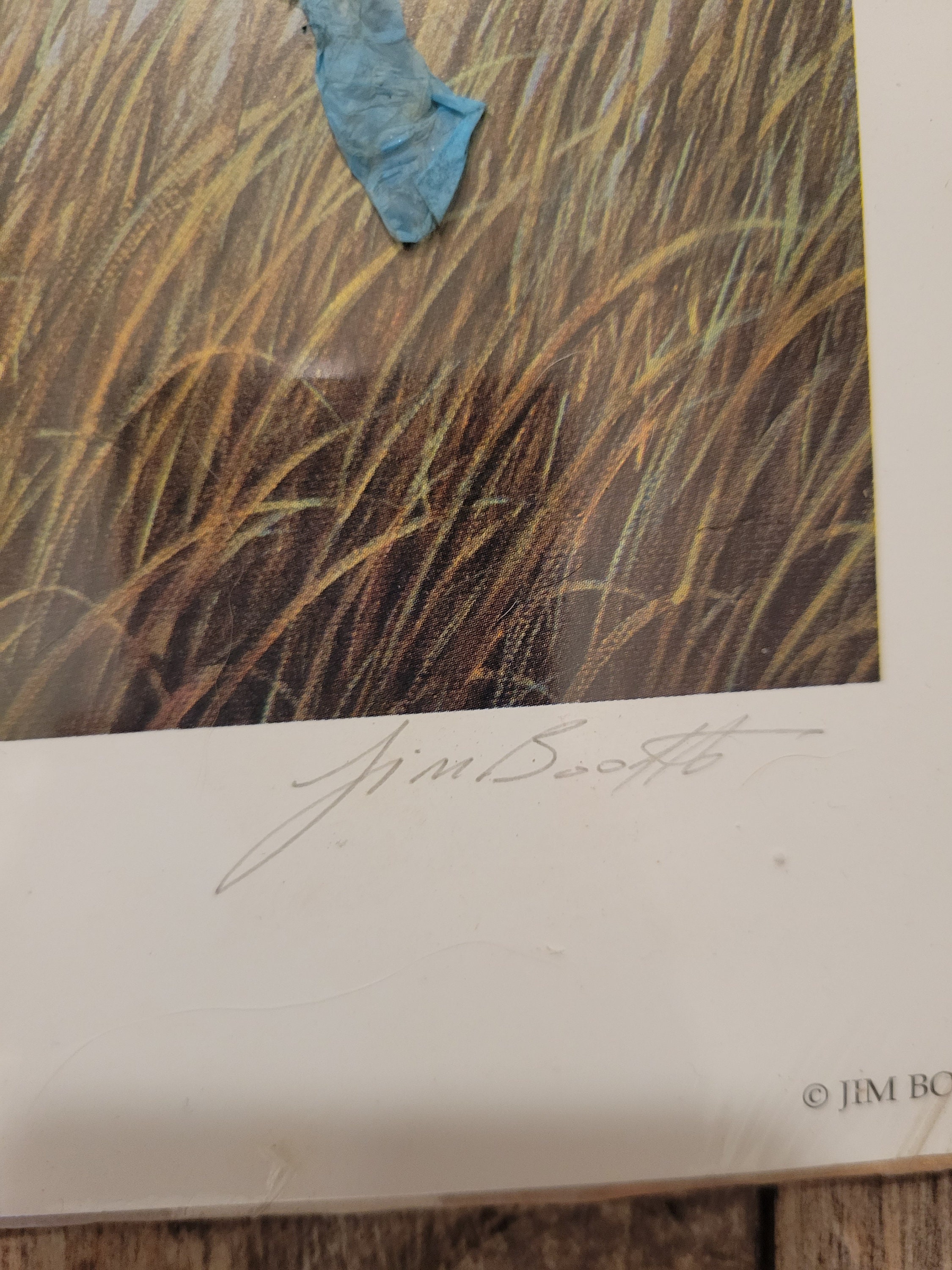 Jim Booth's "marsh Buck" Signed and Numbered. - Etsy