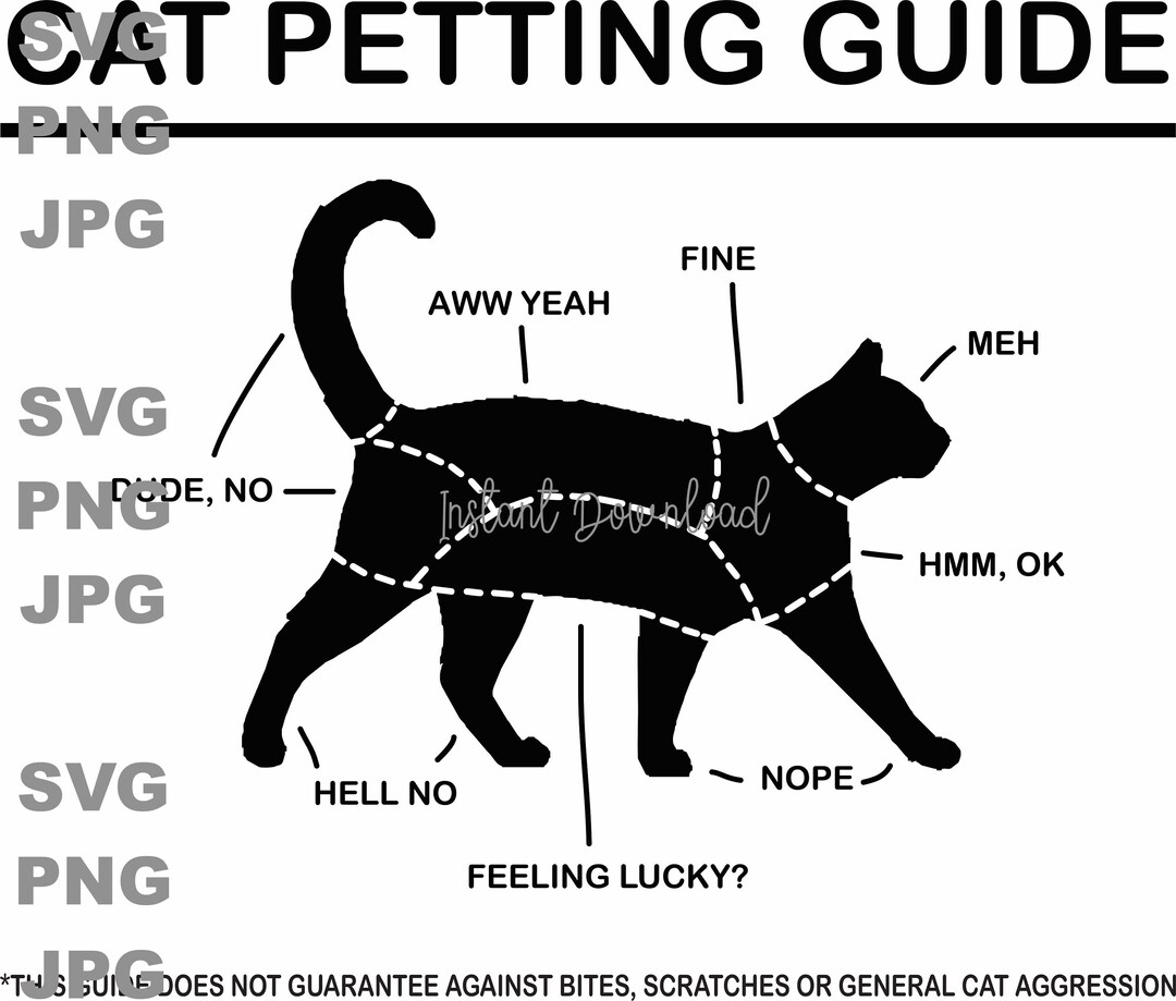 Cat Petting Guide - SVG PNG JPG: Instant Download - Etsy