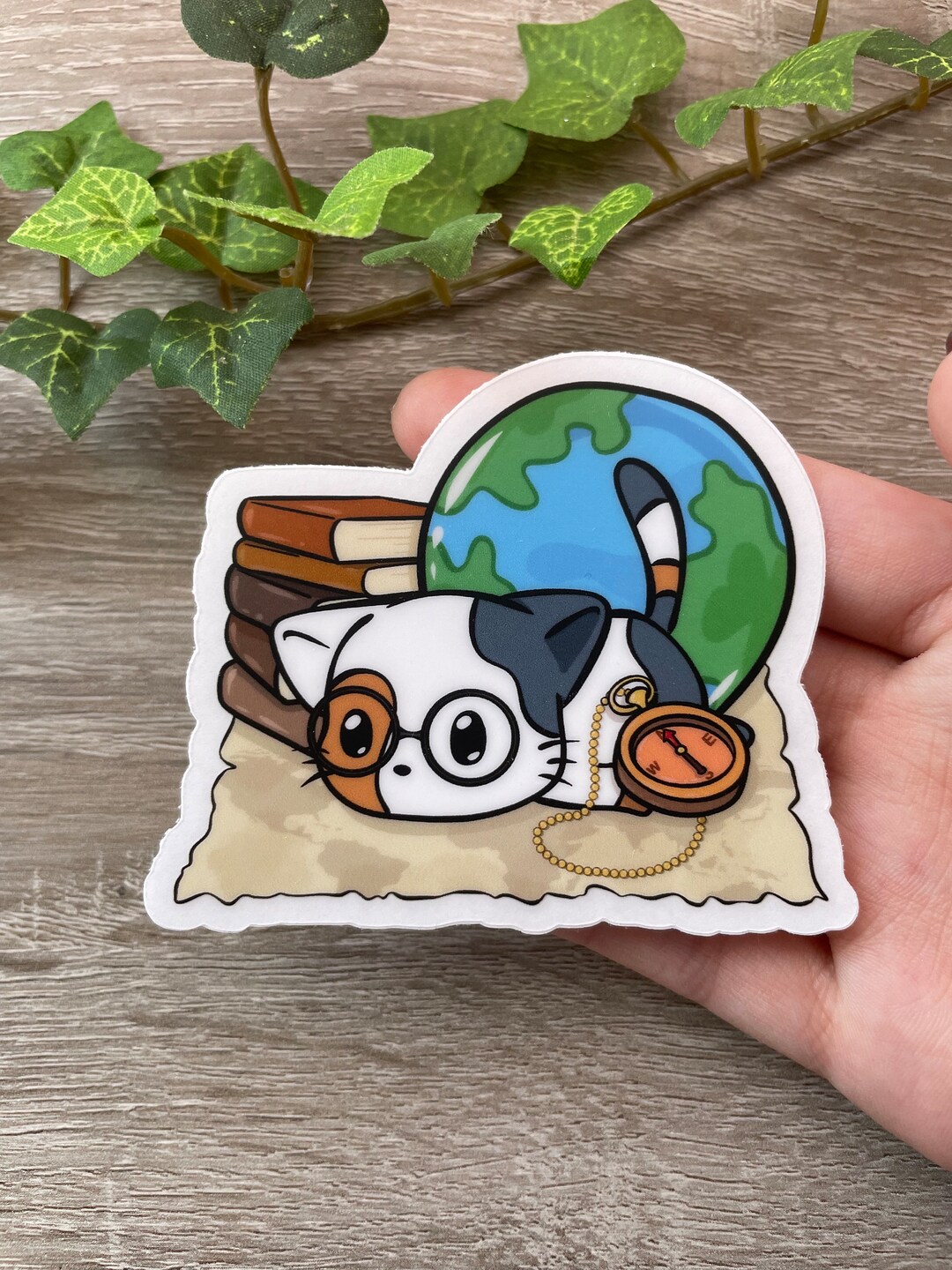 Geography Cat Sticker CLEAR Sticker - Etsy