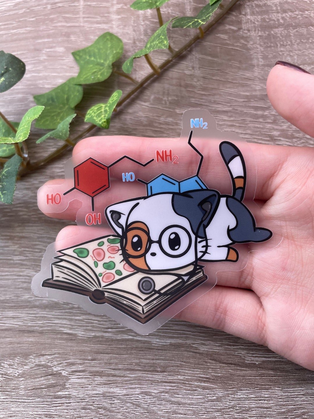 Biology Cat Sticker CLEAR Sticker - Etsy