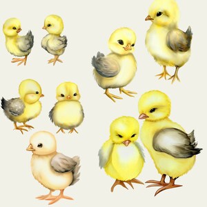 Farm Animals Watercolor Clipart Cute Farm Clip Art Nursery Decor Baby ...