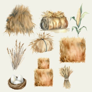 Farm Animals Watercolor Clipart Cute Farm Clip Art Nursery Decor Baby ...