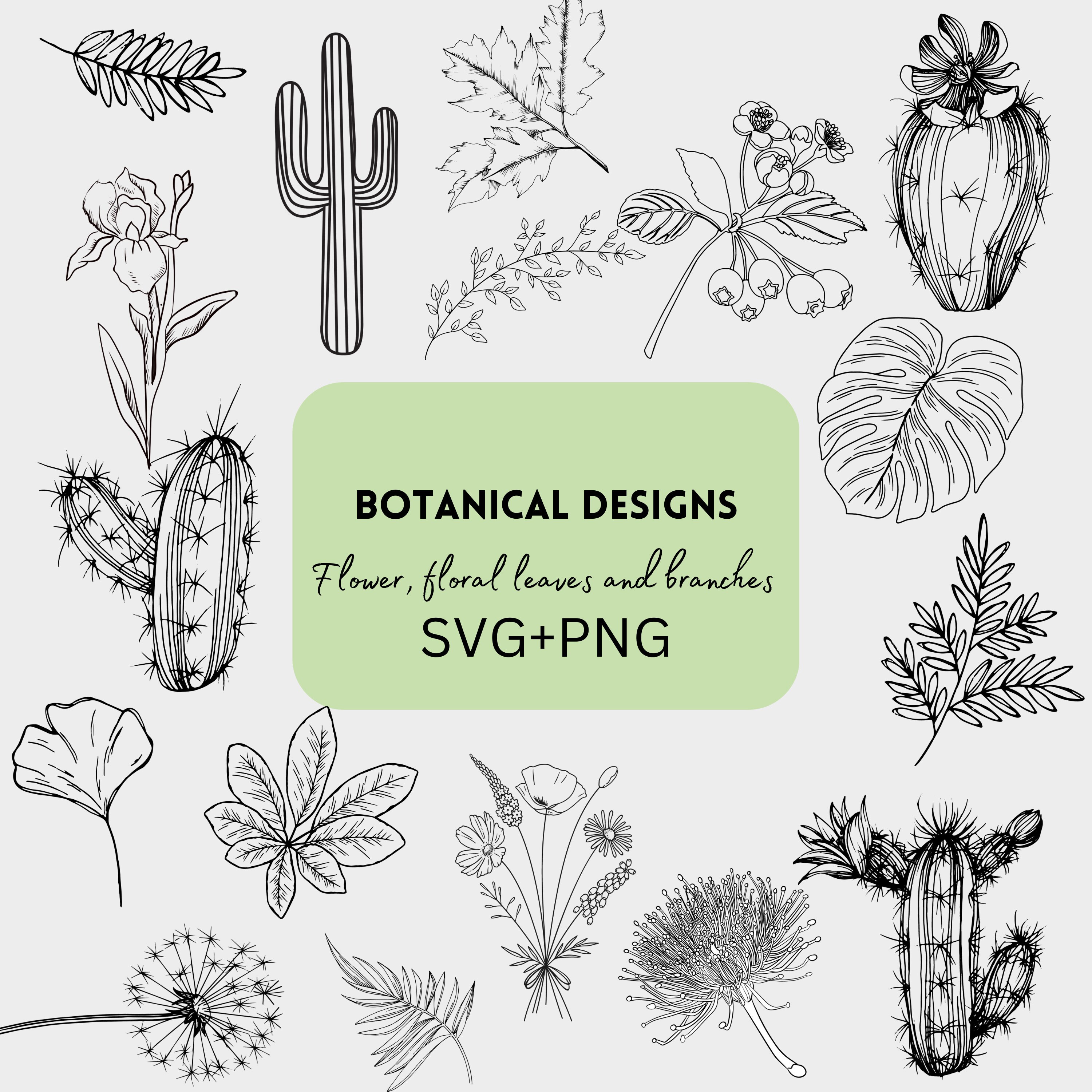 Botanical Svg Bundle Floral Svg flower Svg botanical - Etsy