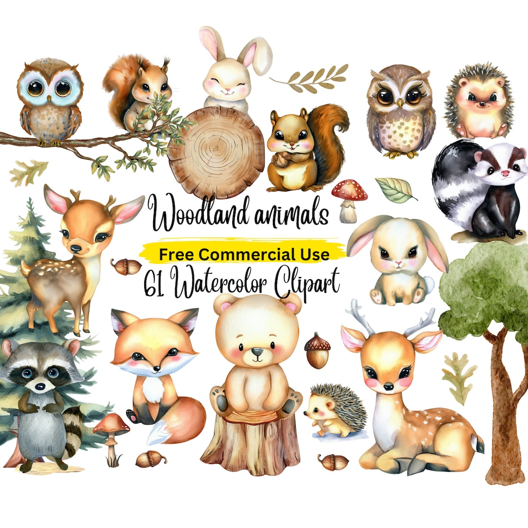 61 Woodland Animals Watercolor Clipart, Forest Animals Clip Art ...