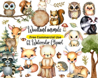 Woodland Animals Watercolor Clipart Forest Animals Clip Art - Etsy