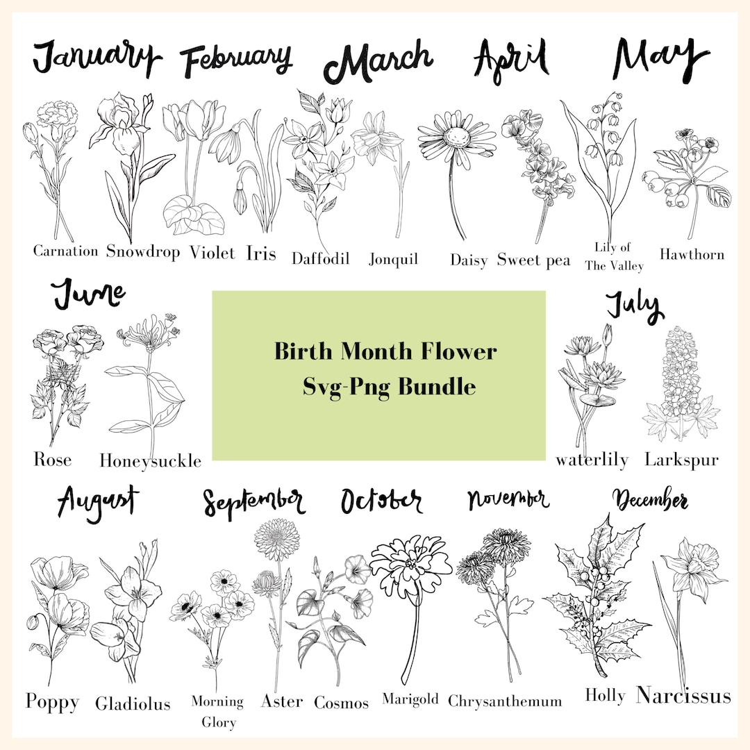 12 Wildflower Design, Birth Month Flower Floral Botanical Wildflower ...