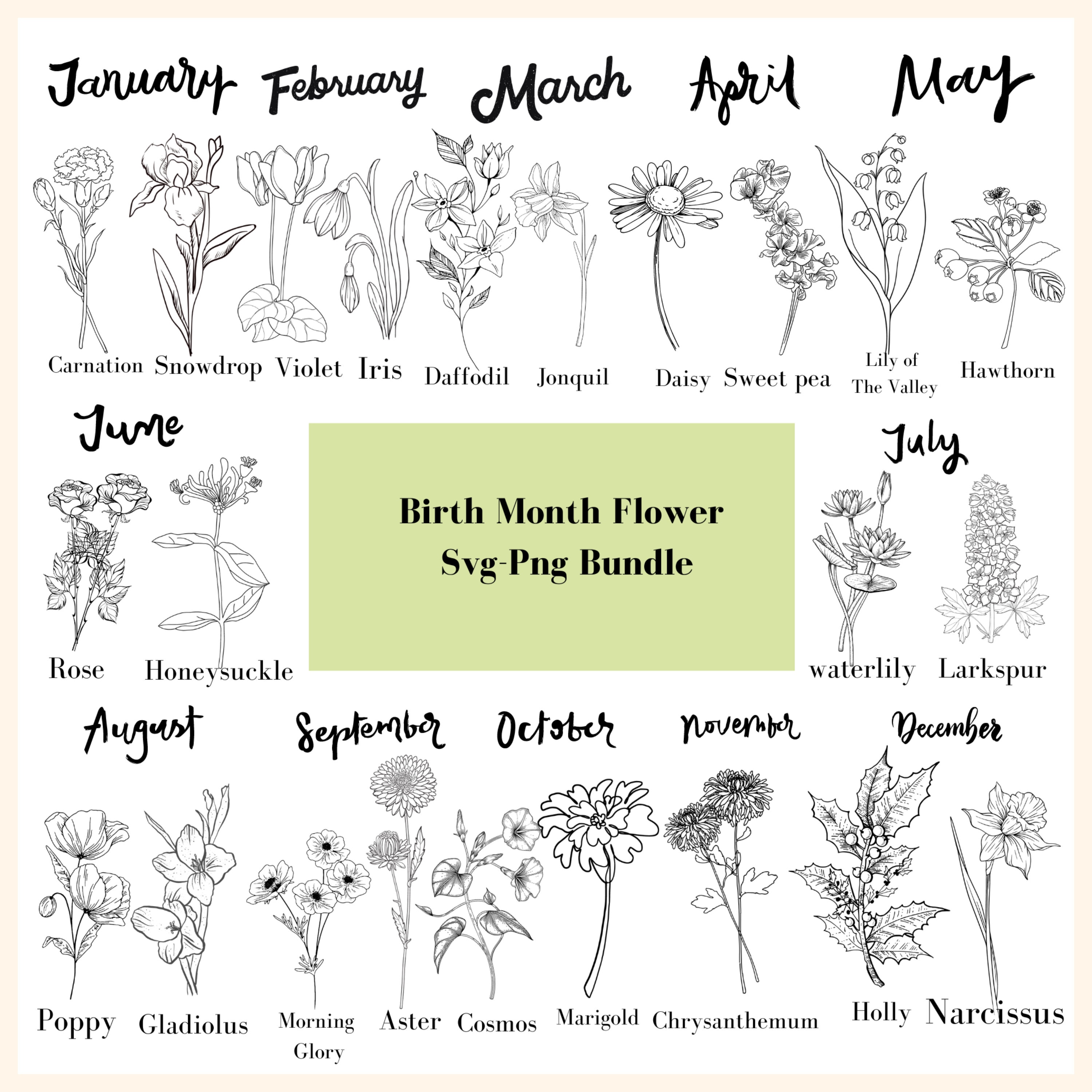 12 Wildflower Design Birth Month Flower Floral Botanical - Etsy