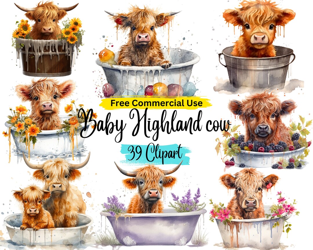 Highland Cow Png, Watercolor Clipart, Highland Cow Baby, Baby Shower ...