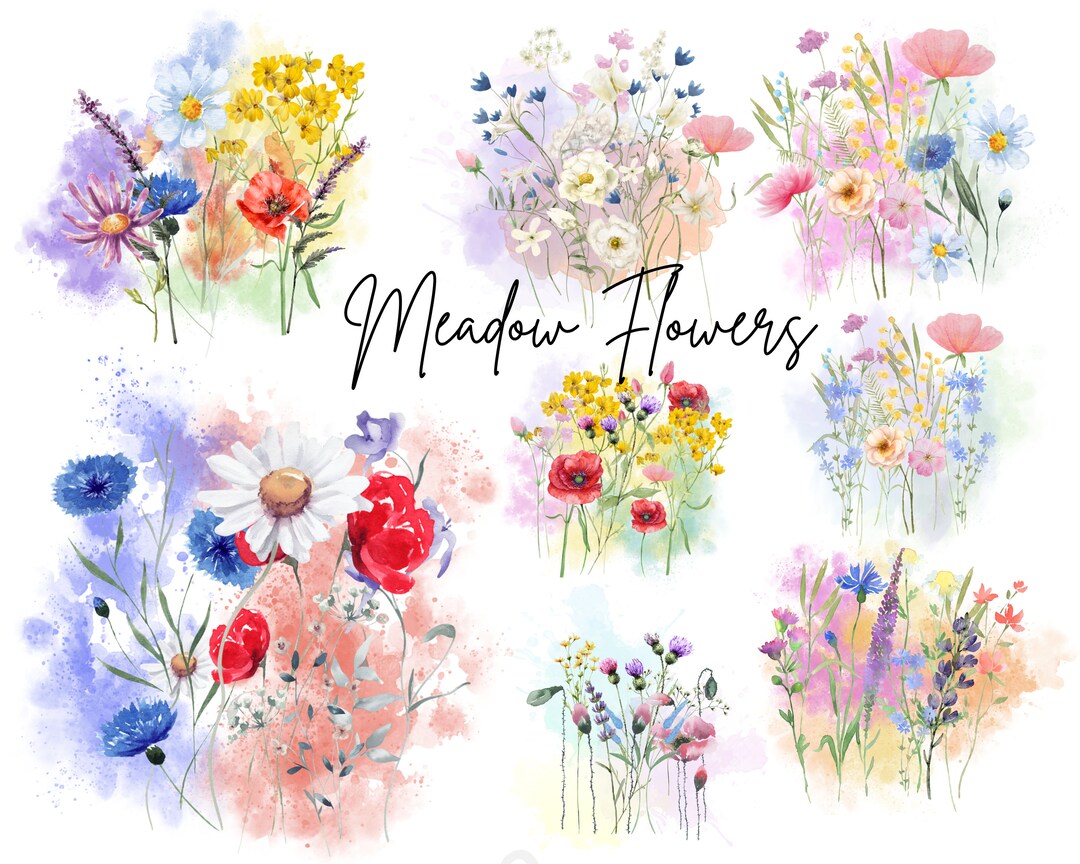 Meadow Flowers Floral Clipart Spring Design Png Spring Flowers ...