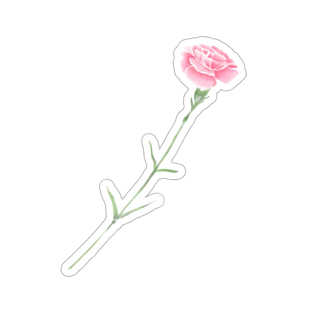 Pink Carnation Flower Sticker - Etsy