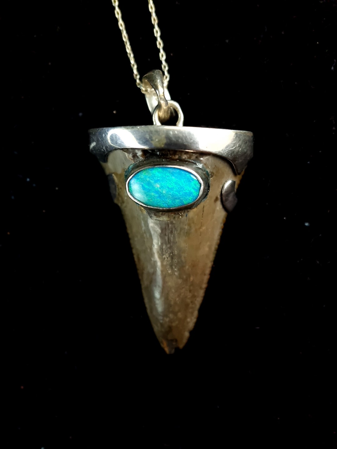 Megalodon Tooth and Opal in Sterling Silver Necklace--mg16-- 36.5x25x11 ...