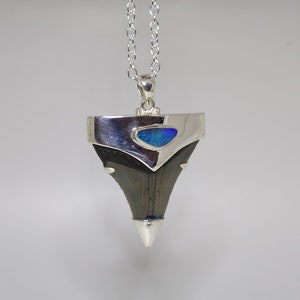 Megalodon Opal Pendant - Mg174 - Etsy