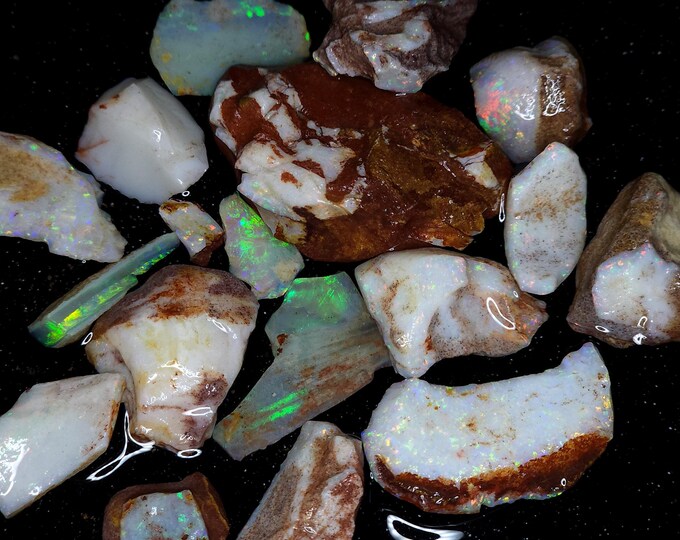 Shell Opal Fossils – [ O.66 ] - Etsy