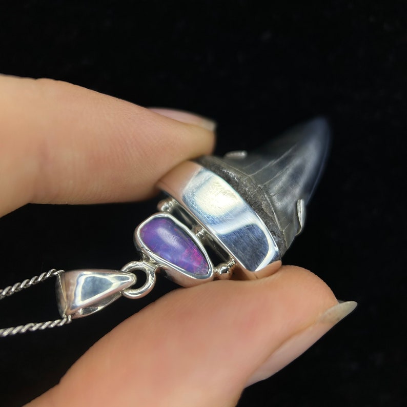 Megalodon Opal Pendant—mg36 - Etsy