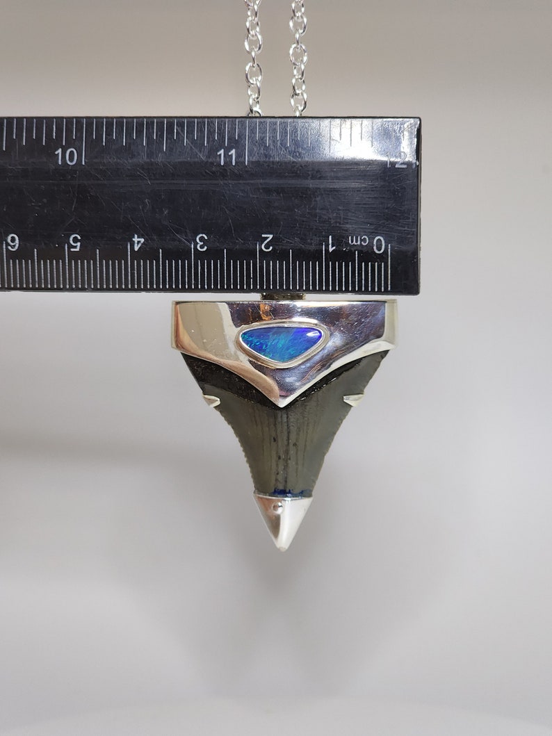 Megalodon Opal Pendant - Mg174 - Etsy