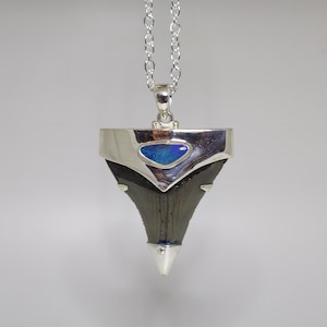 Megalodon Opal Pendant - Mg174 - Etsy