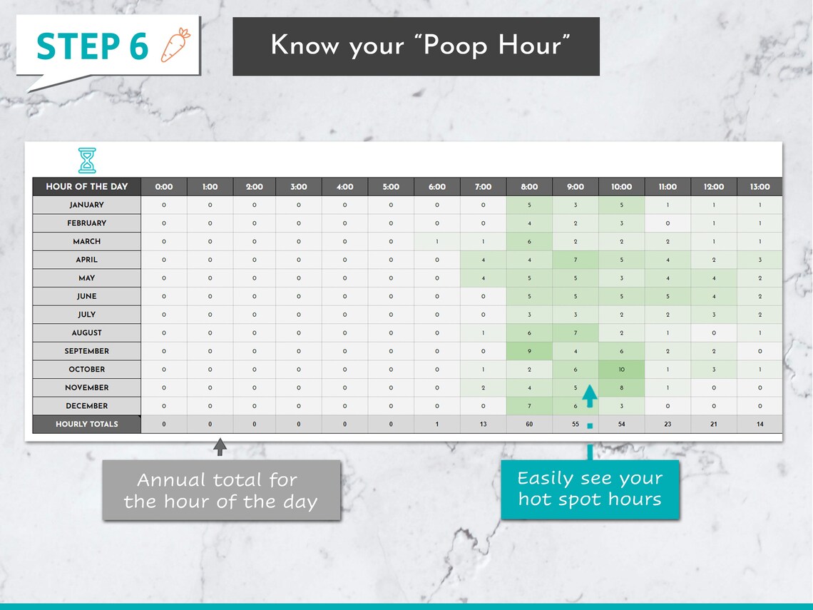 Google Sheets Poop Tracker Poop Log Poop Journal Bowel Movement Food ...