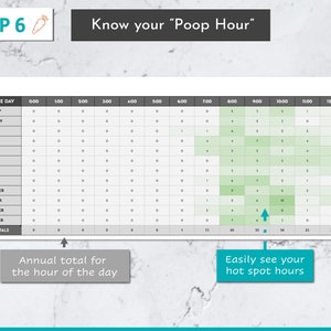 Google Sheets Poop Tracker Poop Log Poop Journal Bowel Movement Food ...
