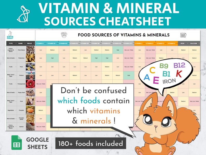 Vitamin and Mineral Sources Cheat Sheet for Google Sheets | Vitamins ...