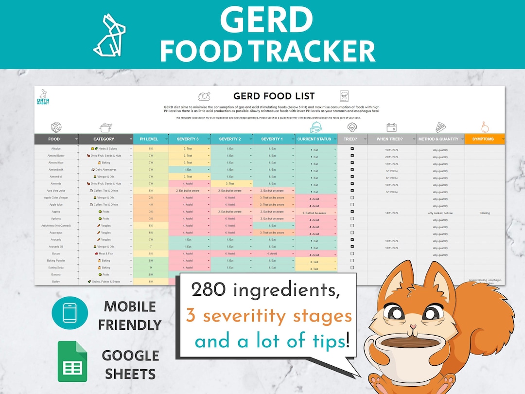 GERD Food Tracker Google Sheet Template | GERD Diet | Gerd Food Chart ...