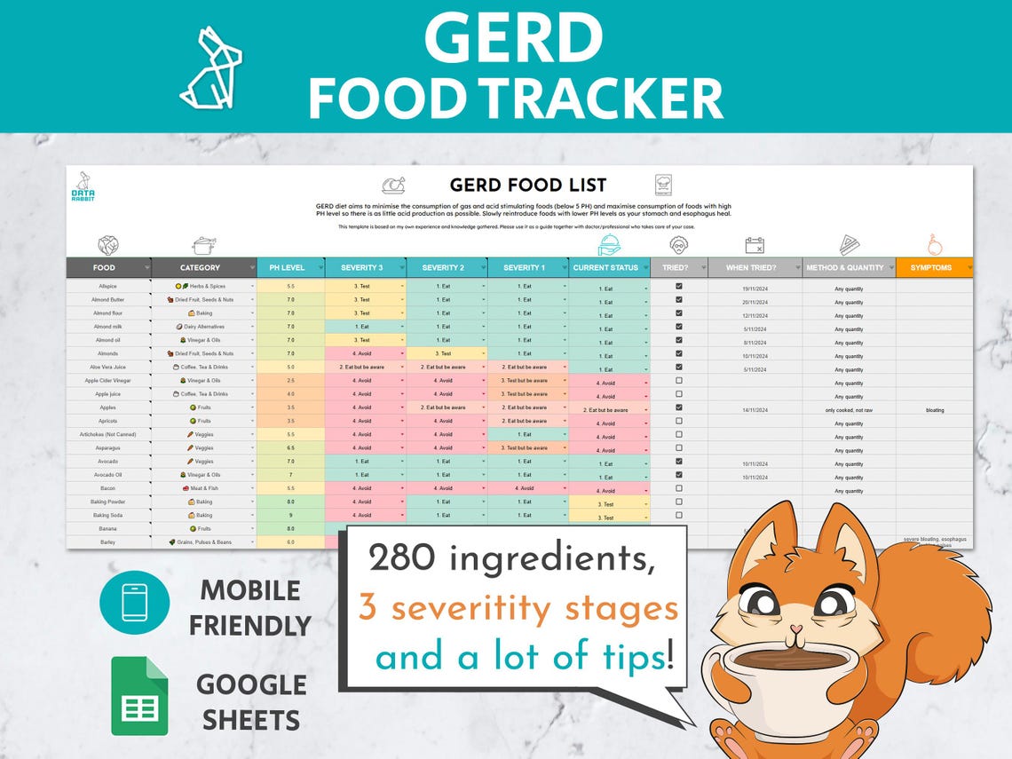 GERD Food Tracker Google Sheet Template | GERD Diet | Gerd Food Chart ...
