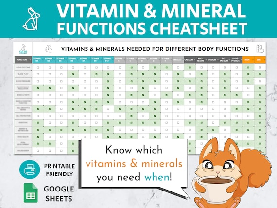 Vitamins And Minerals Chart With Functions