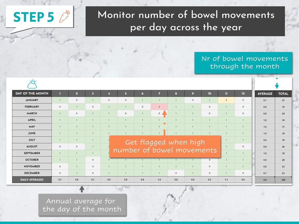 Google Sheets Poop Tracker Poop Log Poop Journal Bowel Movement Food ...