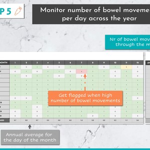 Google Sheets Poop Tracker Poop Log Poop Journal Bowel Movement Food ...
