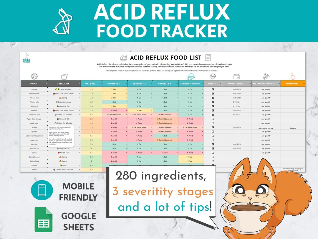 Acid Reflux Food Tracker Google Sheet Template | Acid Reflux Diet ...