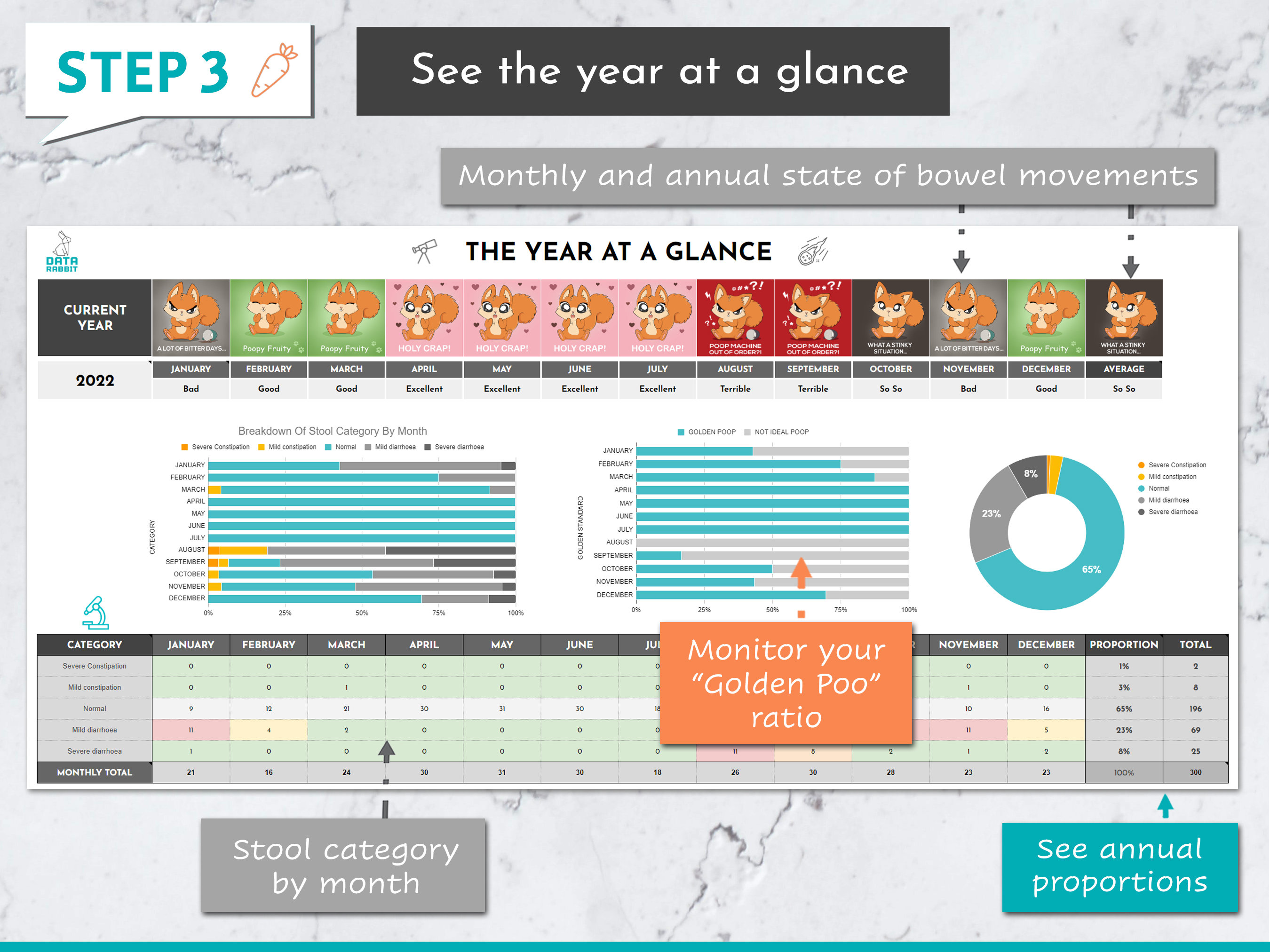 Google Sheets Poop Tracker Poop Log Poop Journal Bowel Movement Food ...
