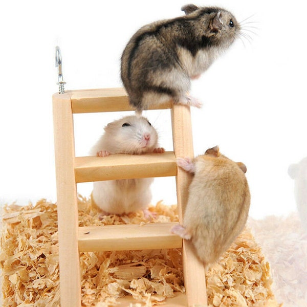 Climbing Mice - Etsy
