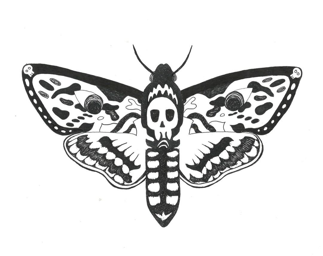 Goth Moth - Pen Drawing Print Death Head Moth - Etsy