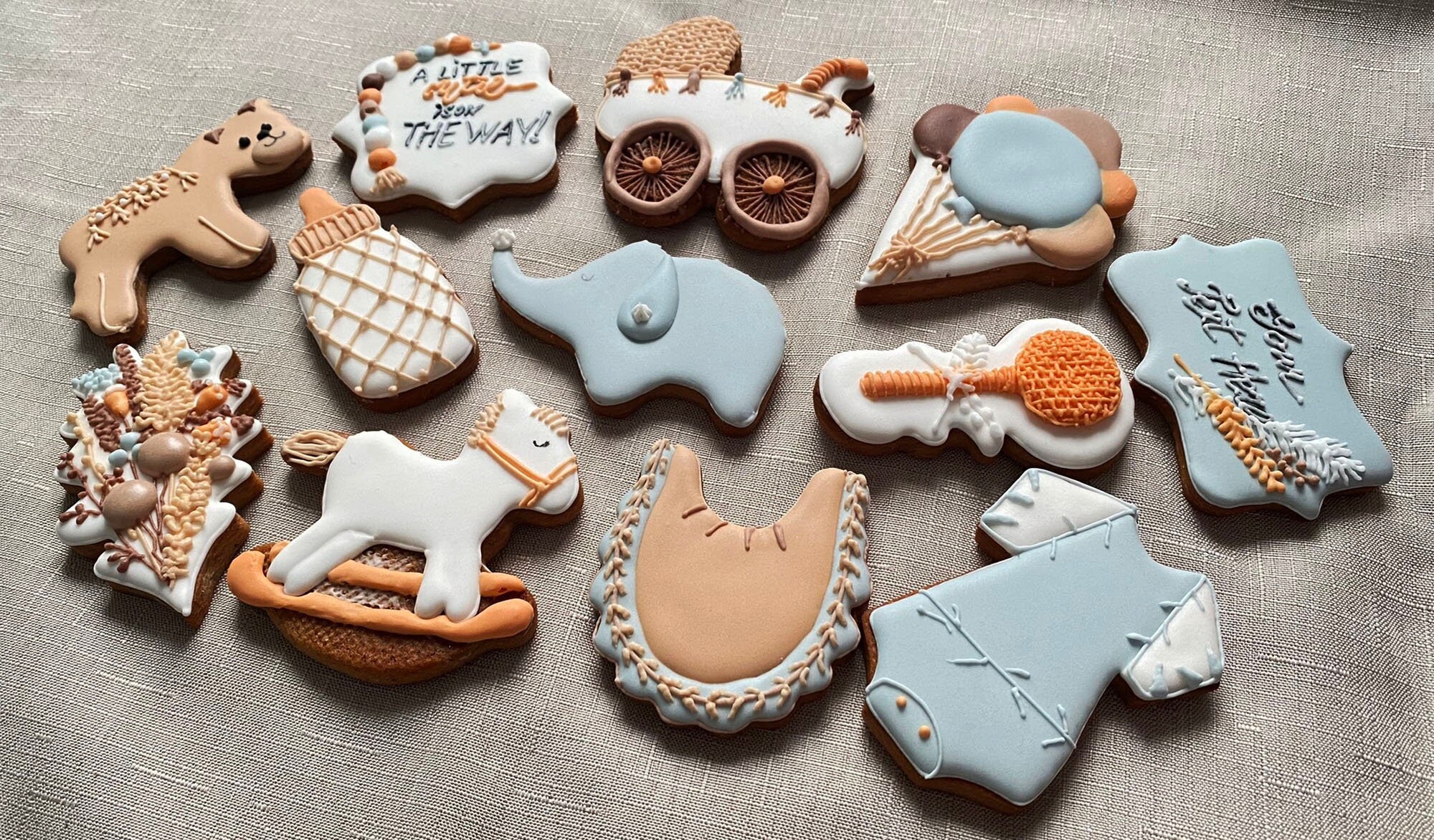 Baby Shower Cookies 1 Dozen Baby Boy Cookies Pastel Blue-sand Neutral ...